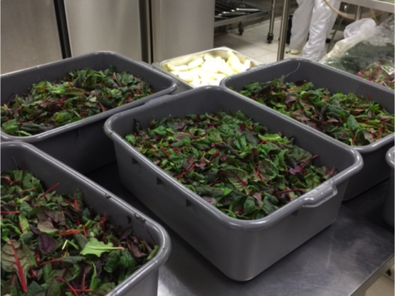 Food Processing – Trinox Engineering Services Pte Ltd